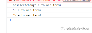 Xterm.js的复制拷贝功能实现_xterm hasselection-CSDN博客