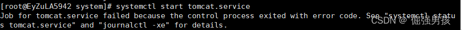 tomcat.service: control process exited, code=exited status=203-CSDN博客