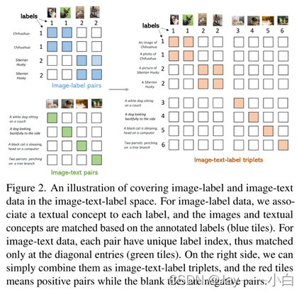 文献阅读：Unified Contrastive Learning in Image-Text-Label Space-CSDN博客