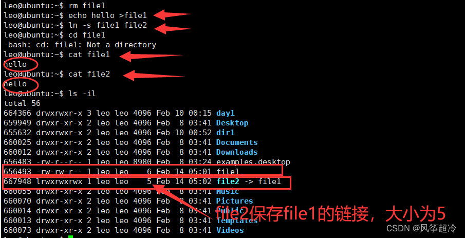 【从python基础到深度学习】4 Linux常用命令（进阶） Csdn博客