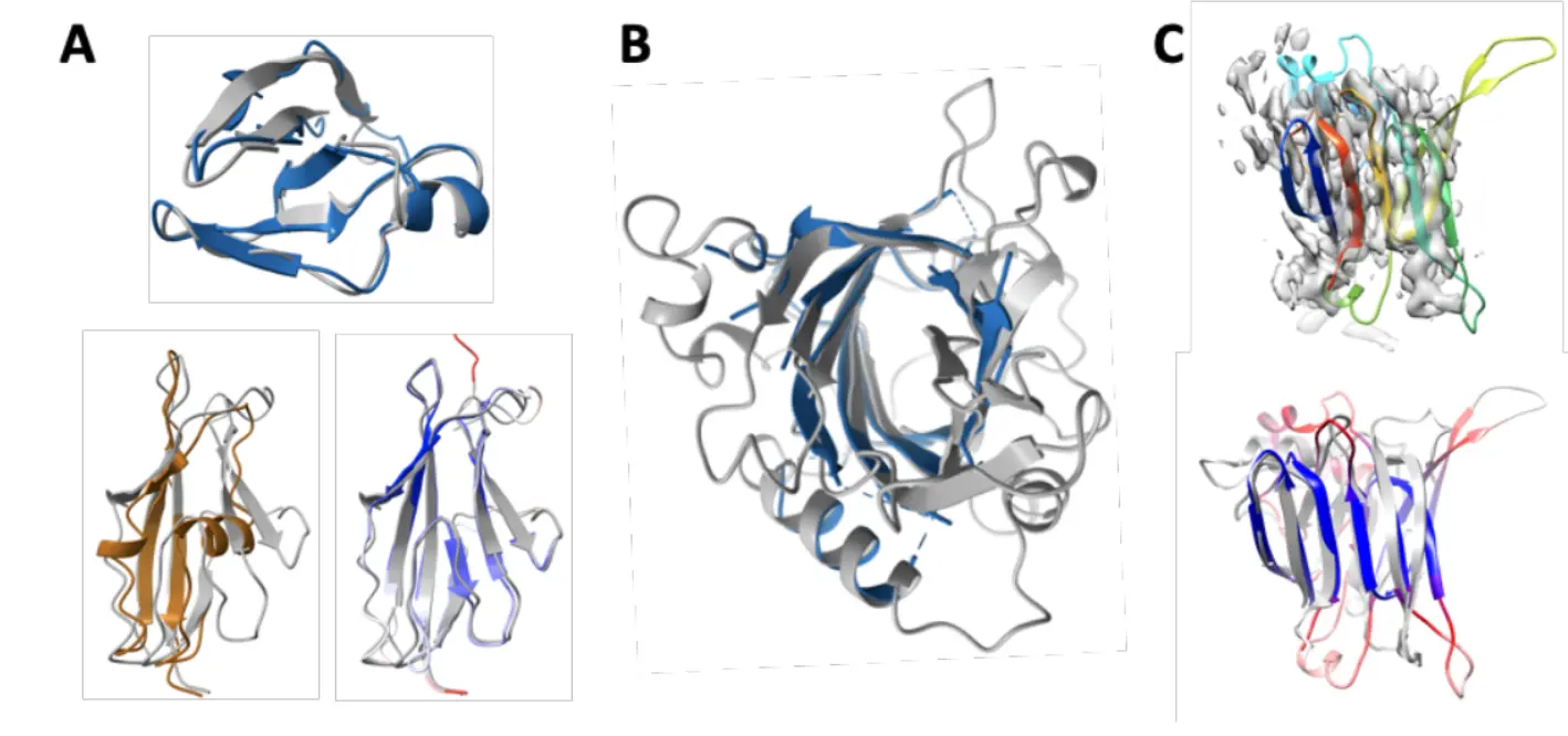 三维蛋白结构预测之RoseTTAFold-CSDN博客