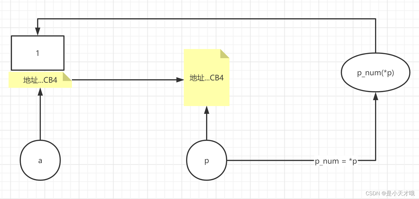 C语言初级指针应用_int num = 1; int* p = #-CSDN博客