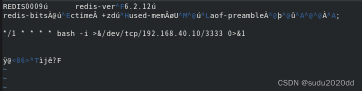 SSRF——手把手教你Redis反弹Shell-CSDN博客