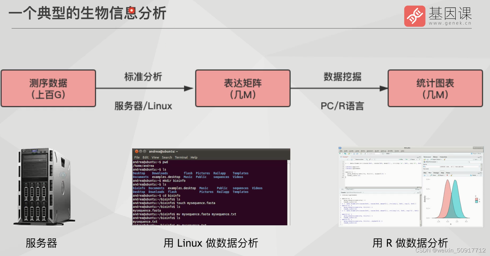 illumina测序原理-CSDN博客