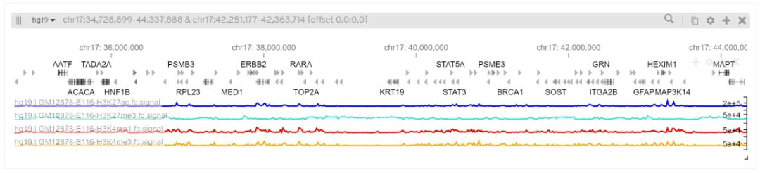 HiGlass:高度定制的Hi-C数据可视化应用-CSDN博客