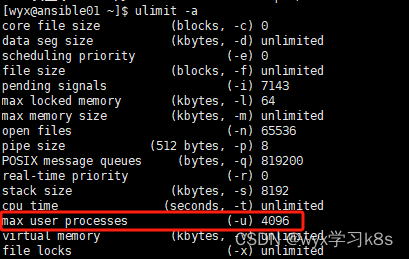 linux最大线程数限制及打开最大文件数_max user processes-CSDN博客