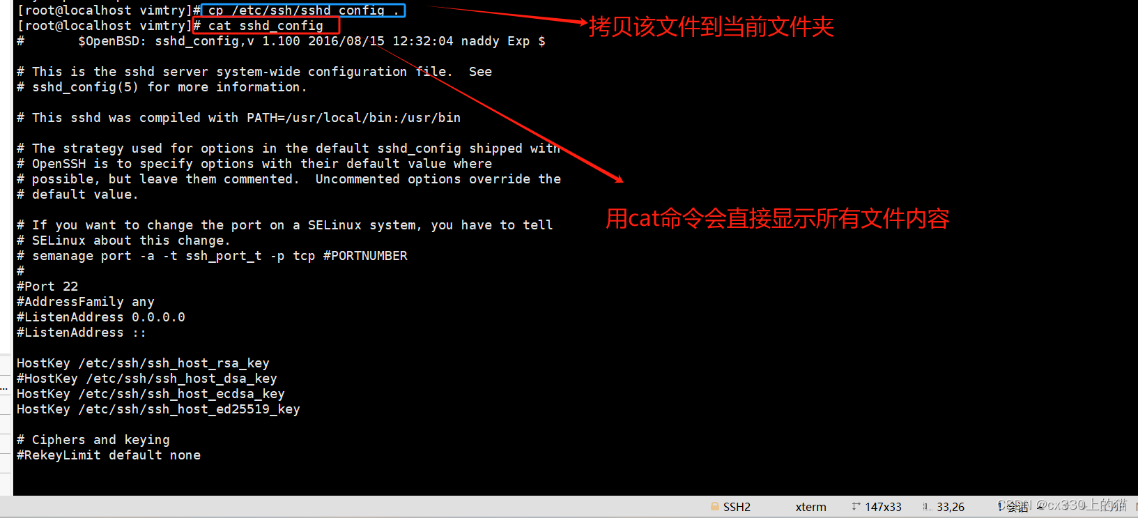 Linux文本编辑器（vim的基础使用）linux 使用系统提供的文本编辑软件 Csdn博客