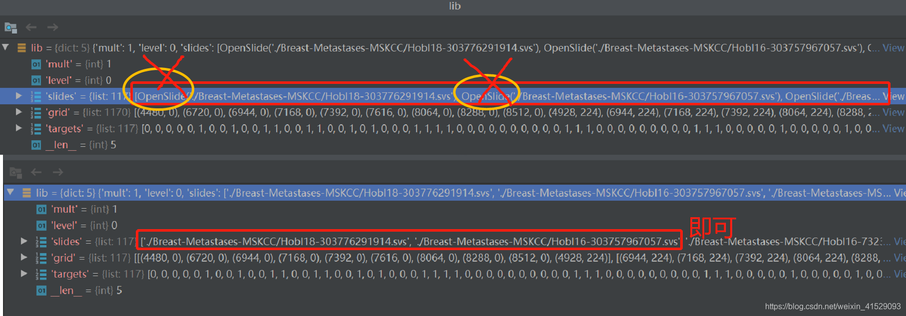 ValueError: ctypes objects containing pointers cannot be pickled的解决-CSDN博客