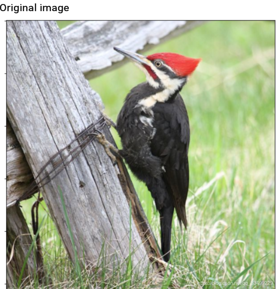 Albumentation使用指南-CSDN博客