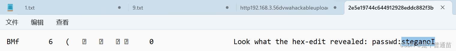 【攻防世界-misc】Training-Stegano-1-CSDN博客