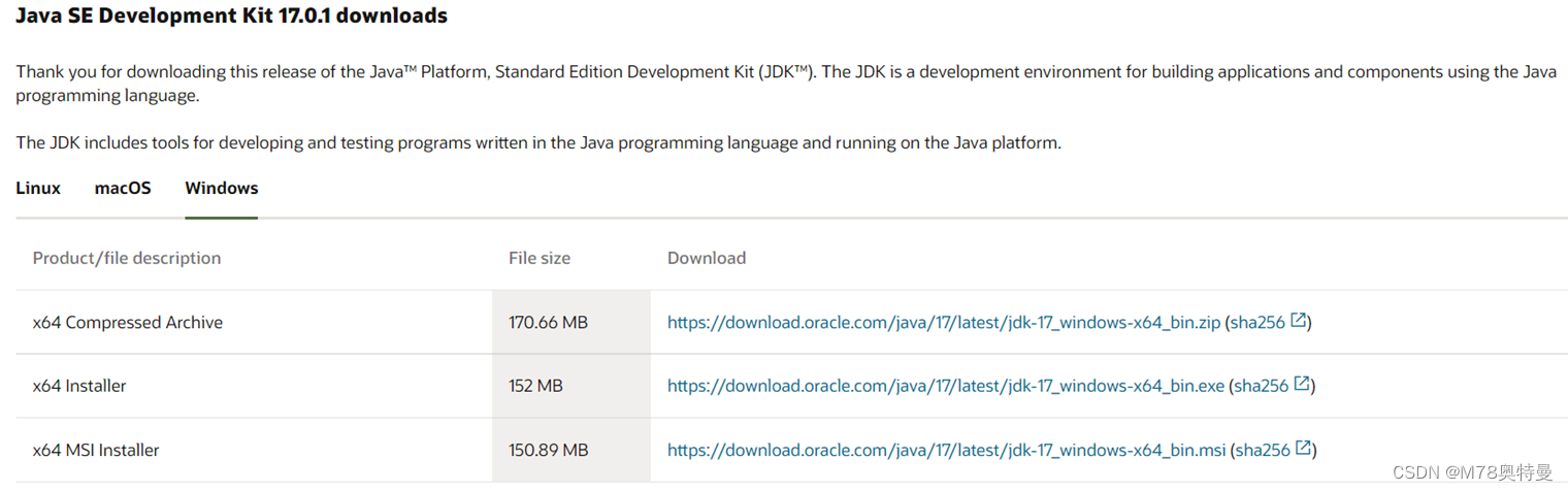 Java环境变量配置java环境变量配置 Csdn Csdn博客