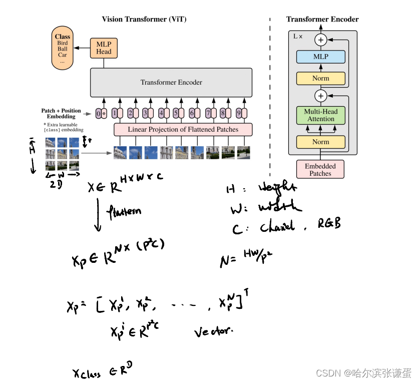深度学习之图像分类（九）vision Transformer翻译与总结（二）_patch embedding翻译-CSDN博客