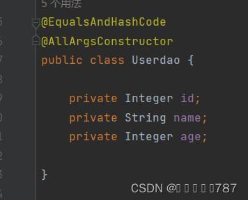 Lombok使用简介-CSDN博客