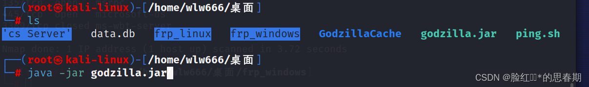frp内网穿透(socks隧道)_frp socks5-CSDN博客