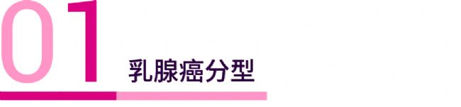 干货分享 | 滴滴~乳腺癌造模方法盘点！|MedChemExpress (MCE)_dmba mce-CSDN博客