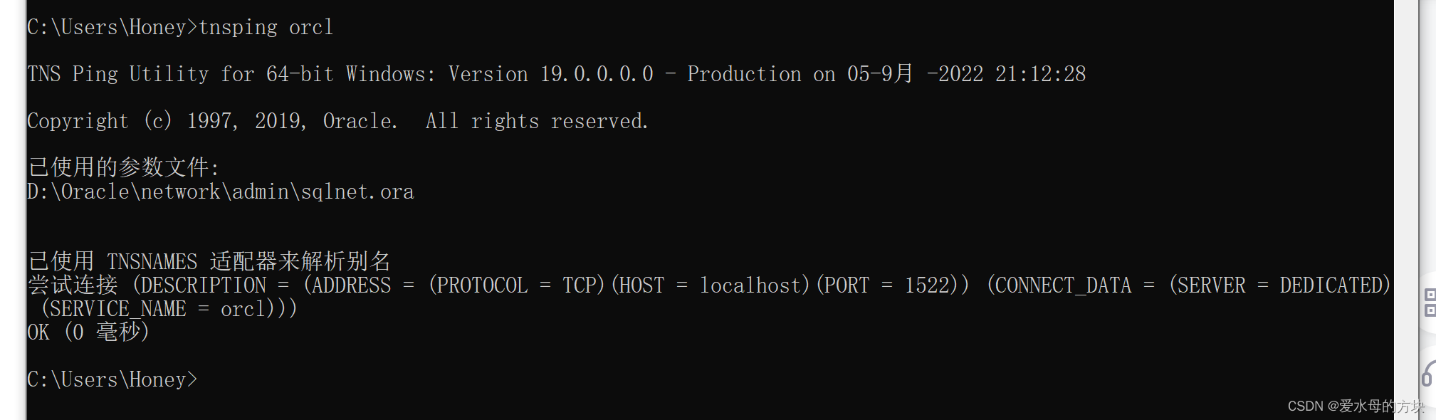 Oracle 状态:失败–测试失败:IO 错误: The Network Adapter could not establish the ...