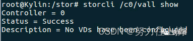 使用storcli/storcli64工具配置RAID-CSDN博客