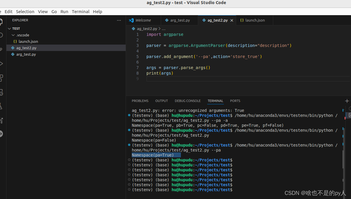 Vscode lanuch.json_main函数的argc和argv怎么在vscode的lauch.json赋值-CSDN博客