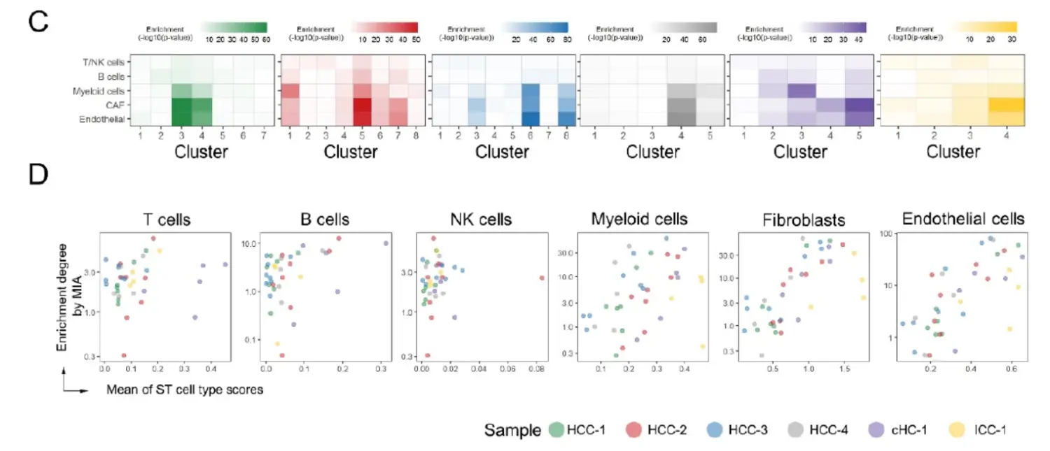 10X空间转录组数据分析之思路总结（针对肿瘤样本）_spatial gradient change analysis-CSDN博客