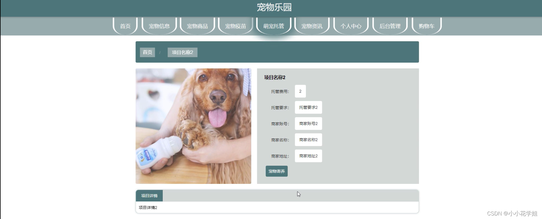 Springboot毕设项目宠物乐园rp9dcjava+VUE+Mybatis+Maven+Mysql+sprnig）_宠物乐园java-CSDN博客