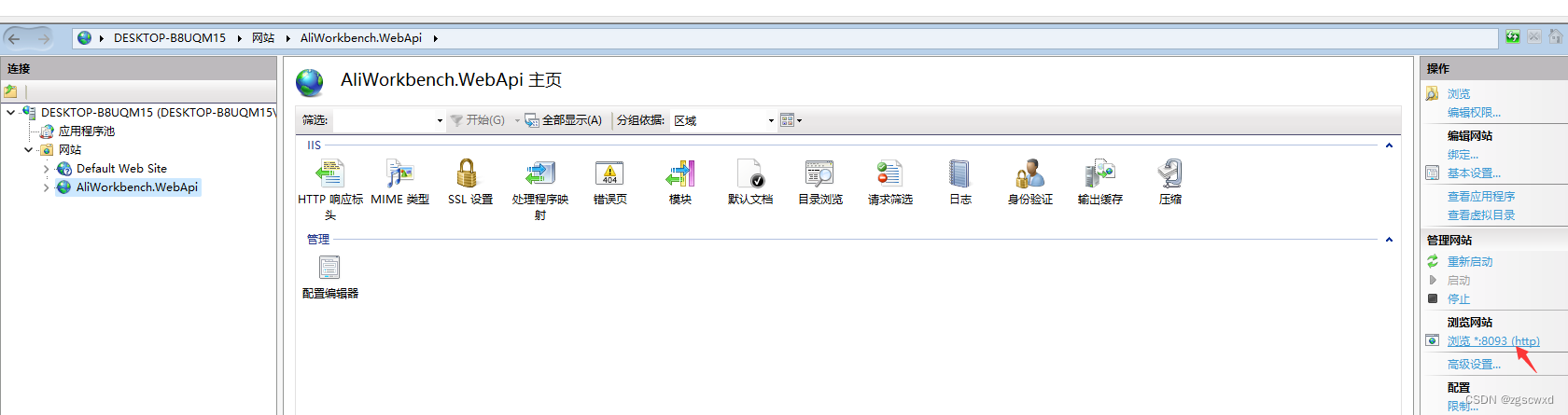 aps.net core 6.0 web API & SwaggerUI & IIS部署【23.10.15】亲测,通过_aspnet6 webapi-CSDN博客