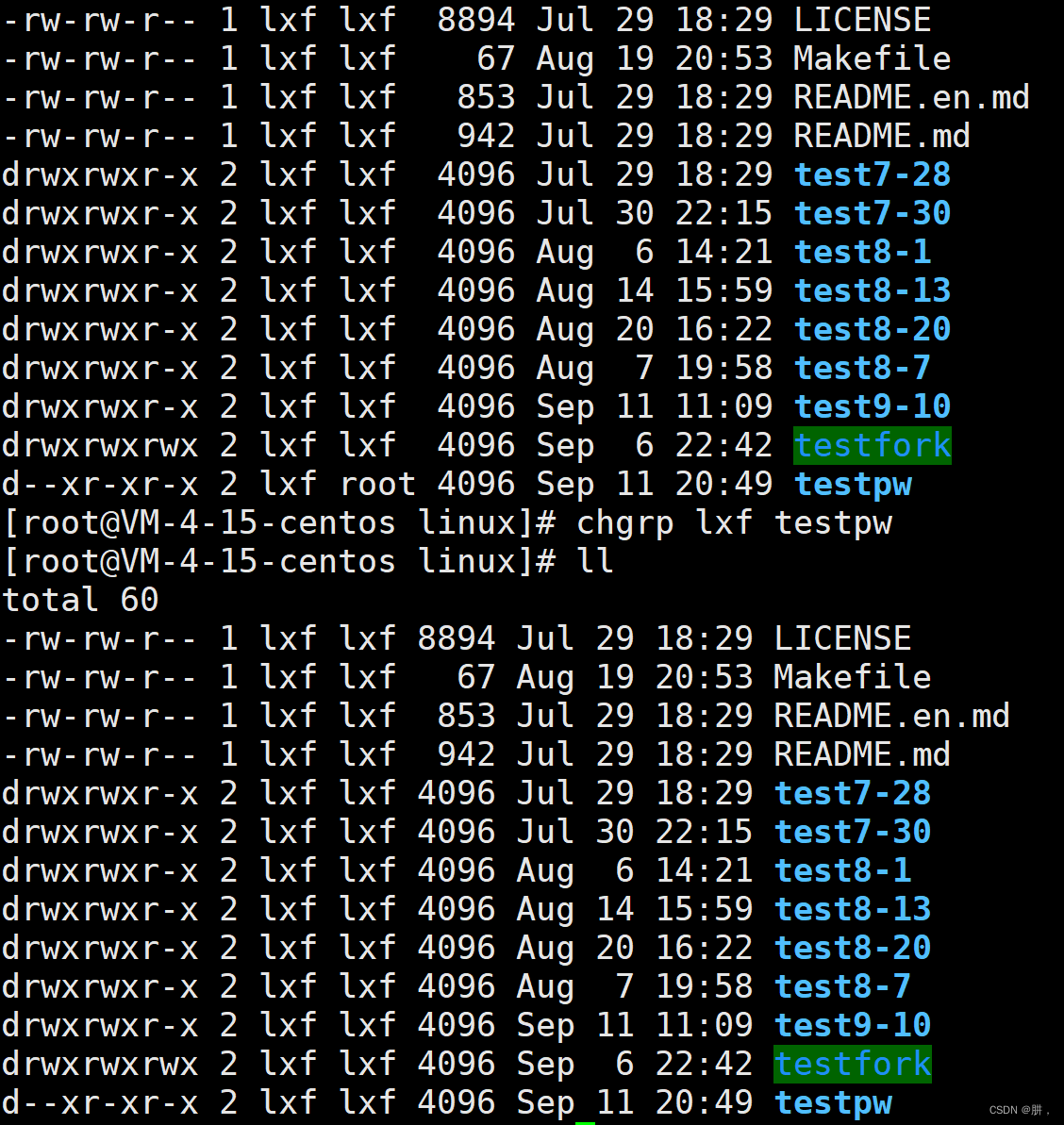 初始Linux——认识权限_chmod 666-CSDN博客