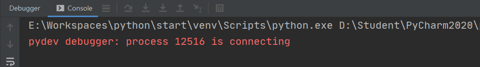 pydev debugger: process ***** is connecting-CSDN博客