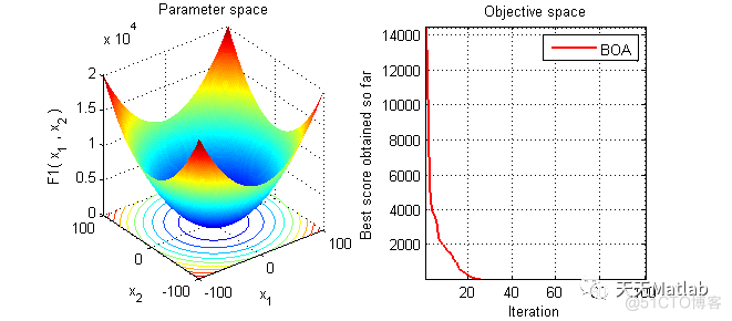 【棕熊优化算法】基于棕熊优化算法求解单目标优化问题附matlab代码-CSDN博客