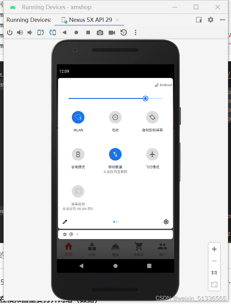 flutter使用image.network加载网络图片错误及解决方案(OS Error: No address associated with hostname, errno = 7)-CSDN博客