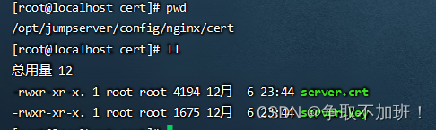jumpserver堡垒机配置https访问_jumpserver修改访问端口-CSDN博客