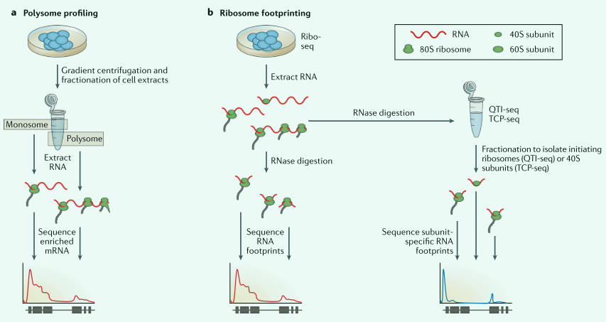 转录组RNA-seq分析前沿进展综述_dge数据-CSDN博客