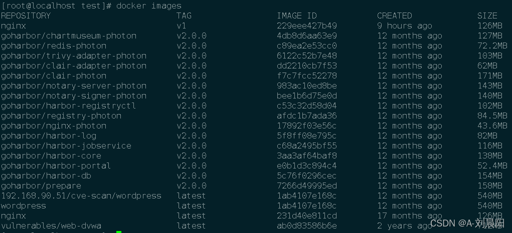 如何从docker镜像里提取dockerfile_dfimage-CSDN博客