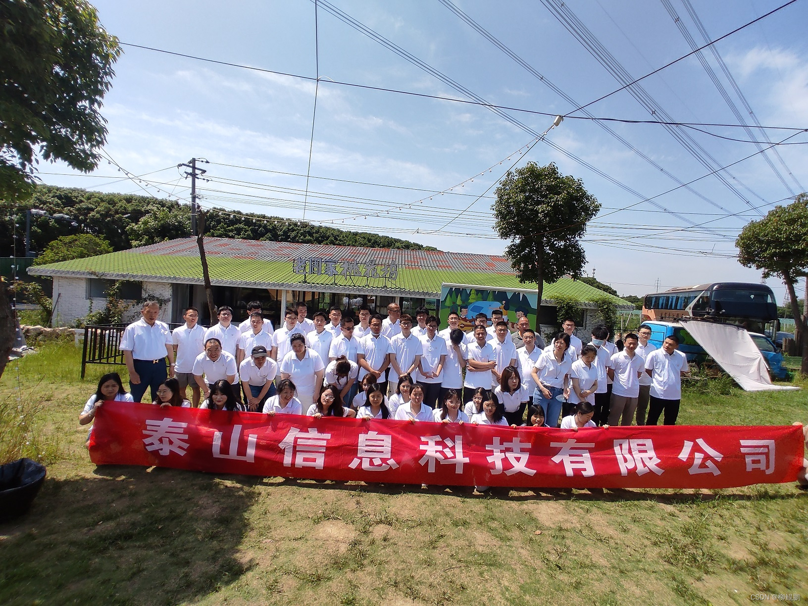 泰山信息科技5周年：无尽的感恩，非常非常的惋惜_泰山office-CSDN博客