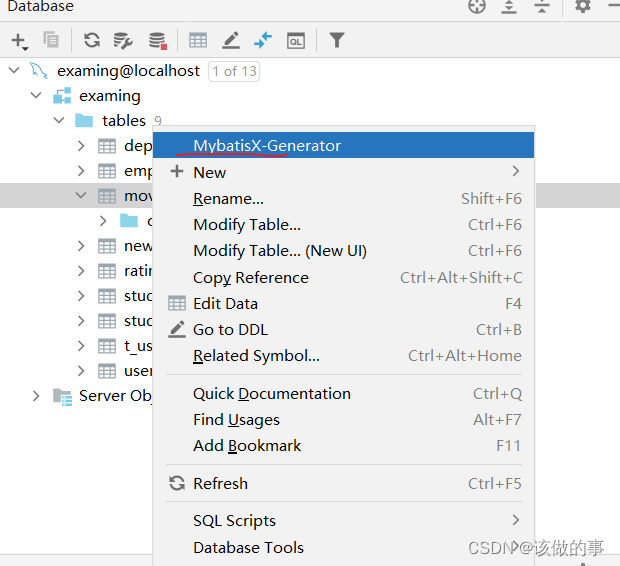 使用MybatisX后出现Could not resolve view with name ‘xxx‘ in servlet with name dispatcherServlet错误 ...