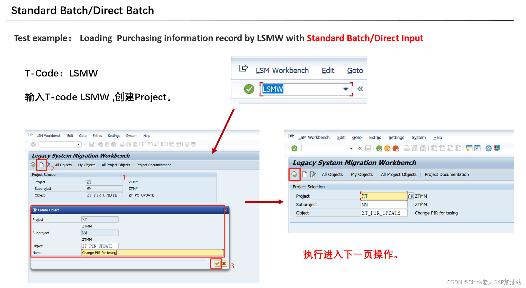 LSMW 功能展示一•Standard Batch/Direct Batch_lsmw standard-CSDN博客