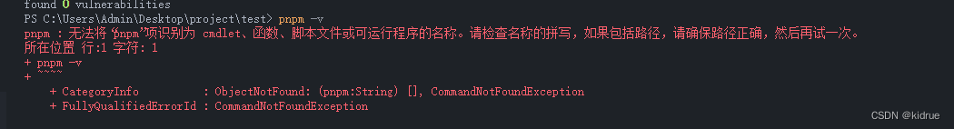 vscode的终端无法识别pnpm命令_vscode pnpm-CSDN博客