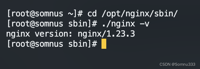 nginx安装教程_nginx 1.23-CSDN博客