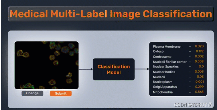 详细介绍如何使用 PyTorch 和 Lightning 增强医学多标签(人类蛋白质)图像分类-附源码_lightning+gradio-CSDN博客