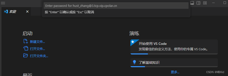 VSCODE远程ssh调试linux+cpolar内网穿透_cpolar ssh-CSDN博客
