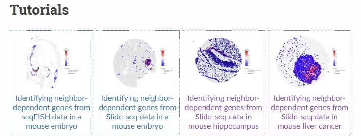 空间邻域分析导论（CellNeighborEX）-CSDN博客