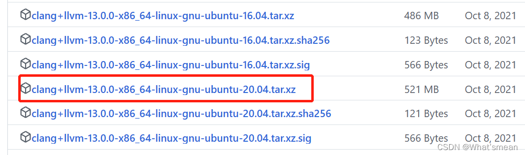 Linux服务器clang-13安装（环境变量配置）_linux llvm 环境变量 配置-CSDN博客