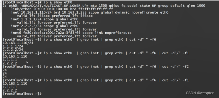Linux文件处理工具cut_linux cut -f-CSDN博客