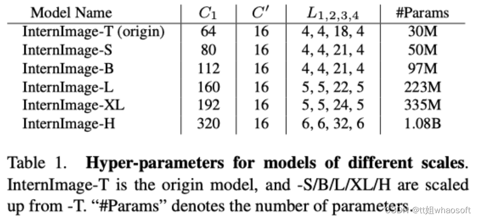 InternImage-CSDN博客