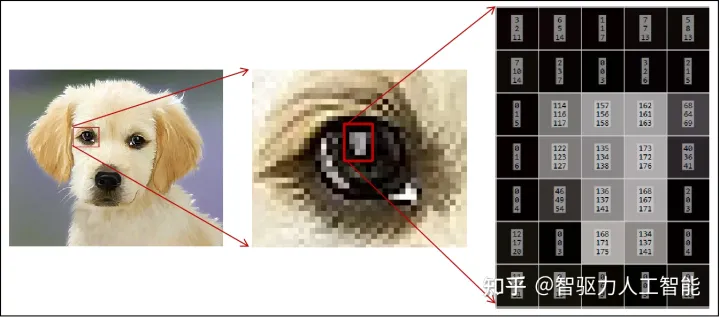 使用C++实现图片的快速的无损压缩和解压缩_c++ jpg 再次压缩-CSDN博客