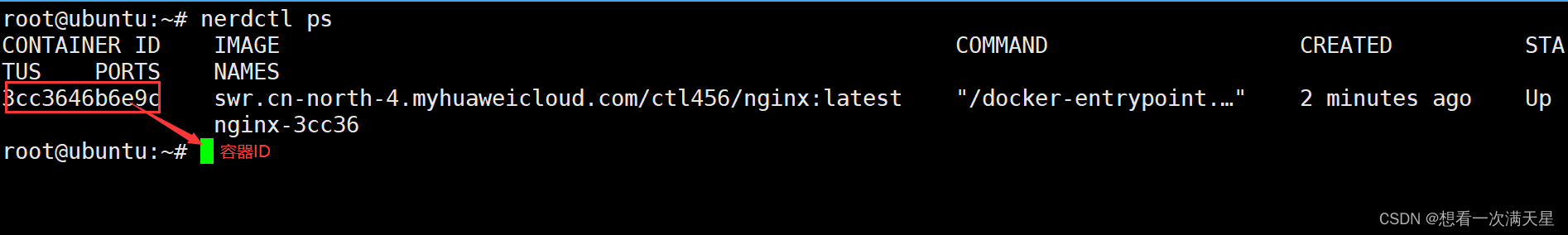 containerd手动配置容器网络_containerd网络配置-CSDN博客