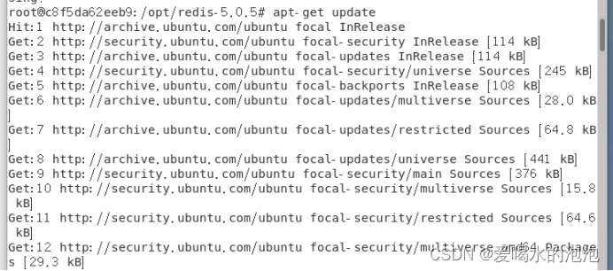 如何正确使用docker搭建redis服务器，安装gcc和make以及出现错误时的解决办法_docker构建中make redis-CSDN博客