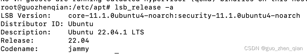 Linux系统常见小问题_no lsb modules are available.-CSDN博客