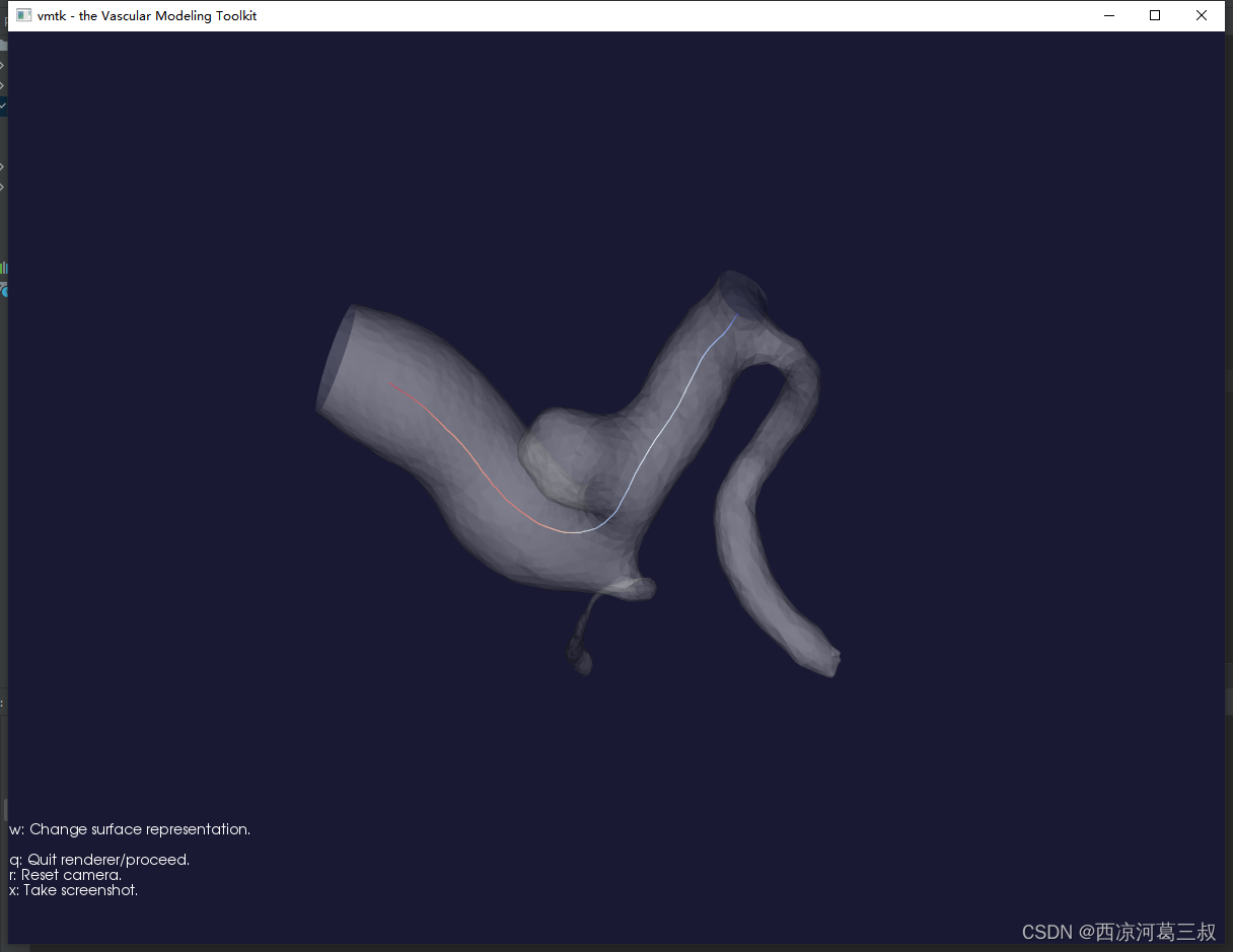 python & vmtk 提取血管中心线_python vmtk 血管中心线-CSDN博客