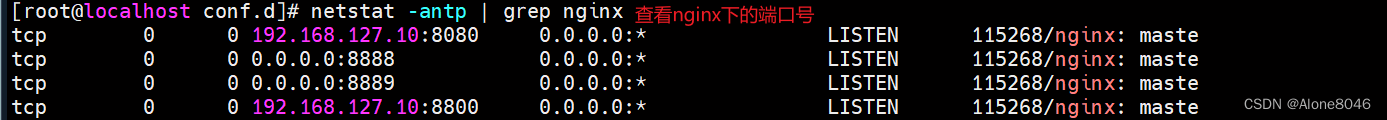 nginx的vim nginx.conf配置文件内容详解及实验，nginx的优化和防盗链-CSDN博客